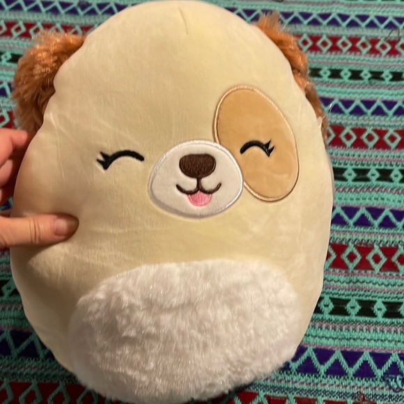 Squishmallows | Toys | Squishmallow Harris | Poshmark